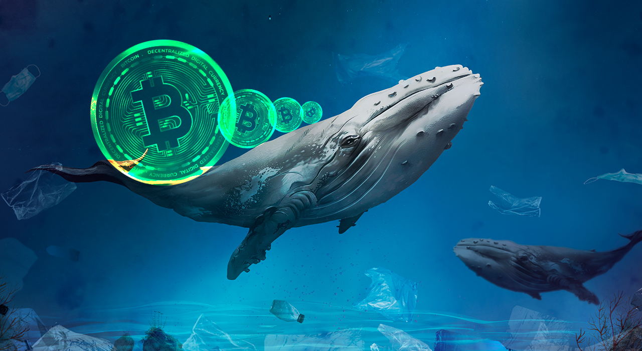 Біткоїн-кити скупили BTC на $5 млрд: кількість монет на біржах впала до ...